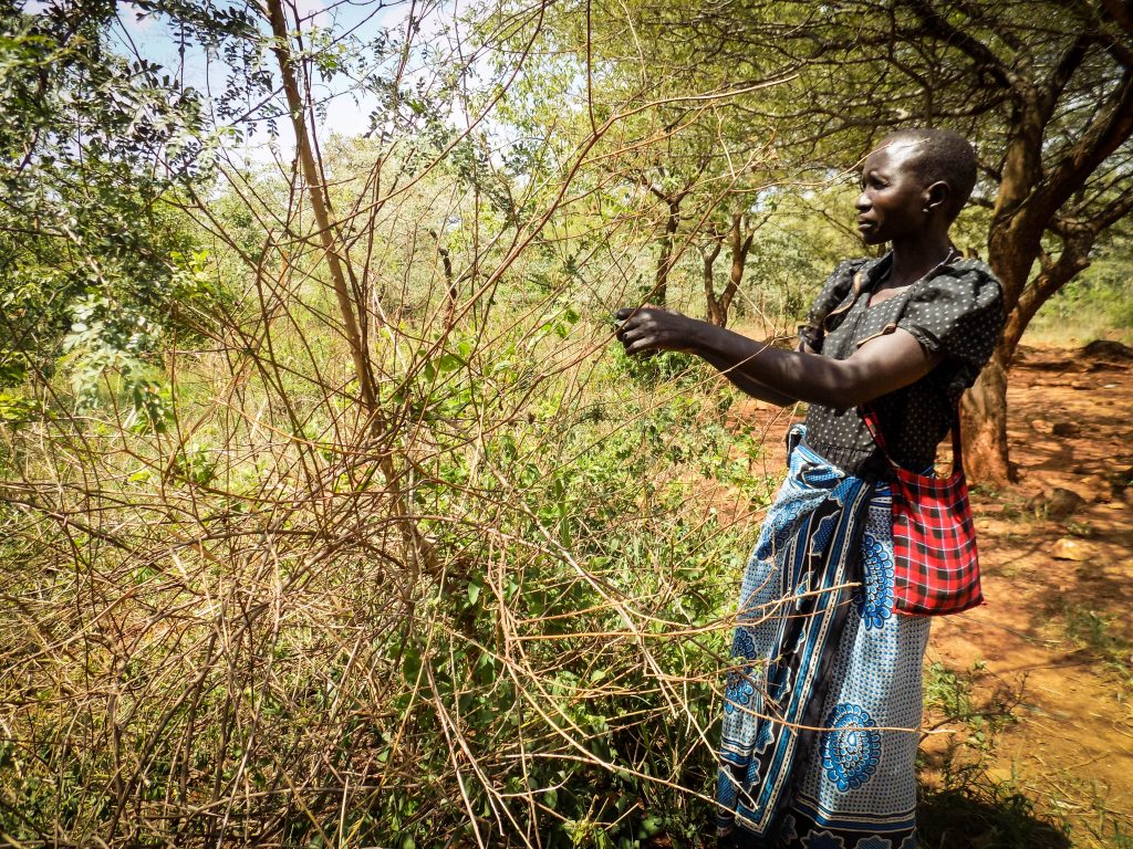 Environmental Awareness in Uganda and at Home - ACDI/VOCA