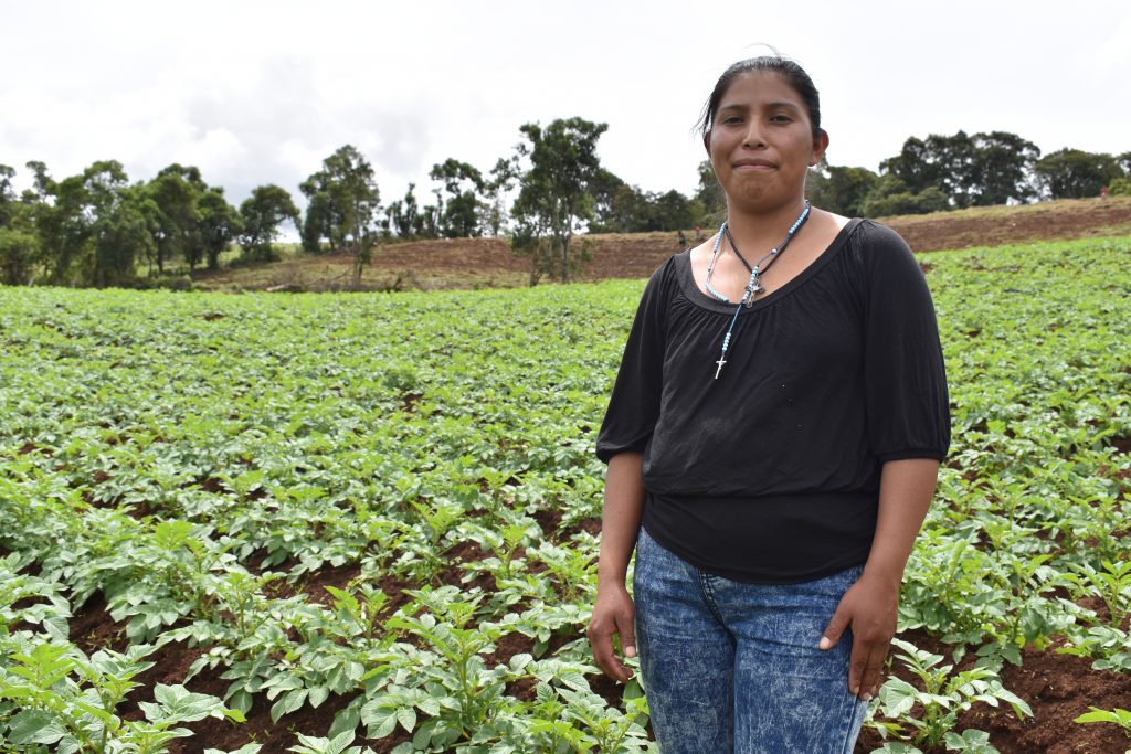 Creating Agricultural Jobs in Honduras’s Lenca Indigenous Communities ...