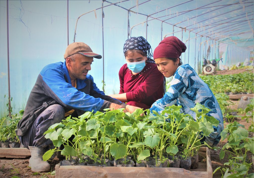 Market Driven Rural Development Activity - ACDI/VOCA