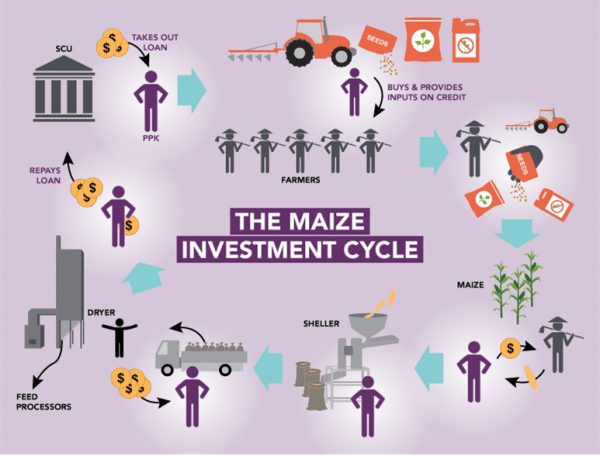 USAID Laos Microenterprise Stimulates Systemic Changes in Maize Sector ...