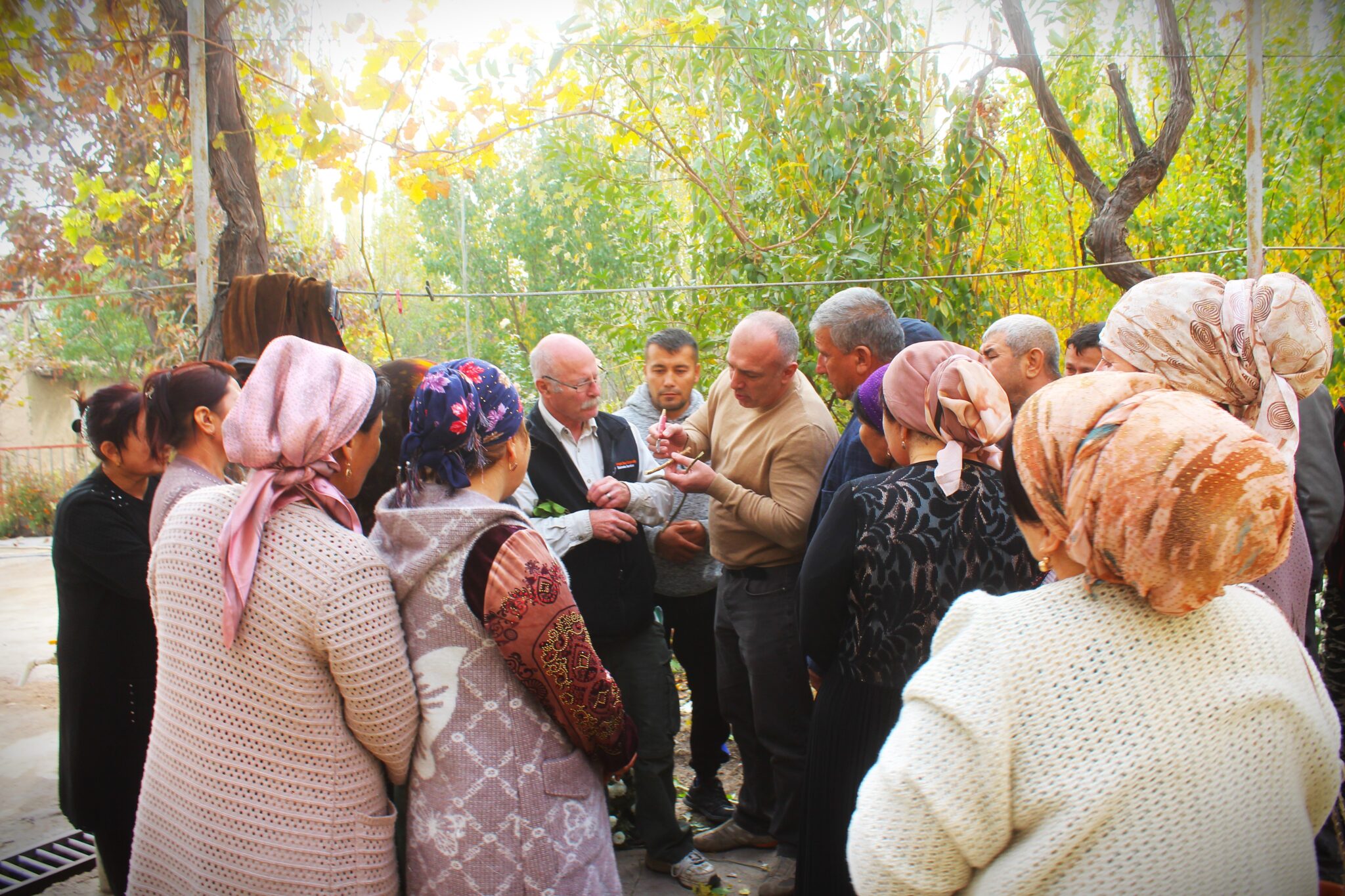 Female Farmers in Tajikistan Emerge to Dominate the Rural Labor Market ...